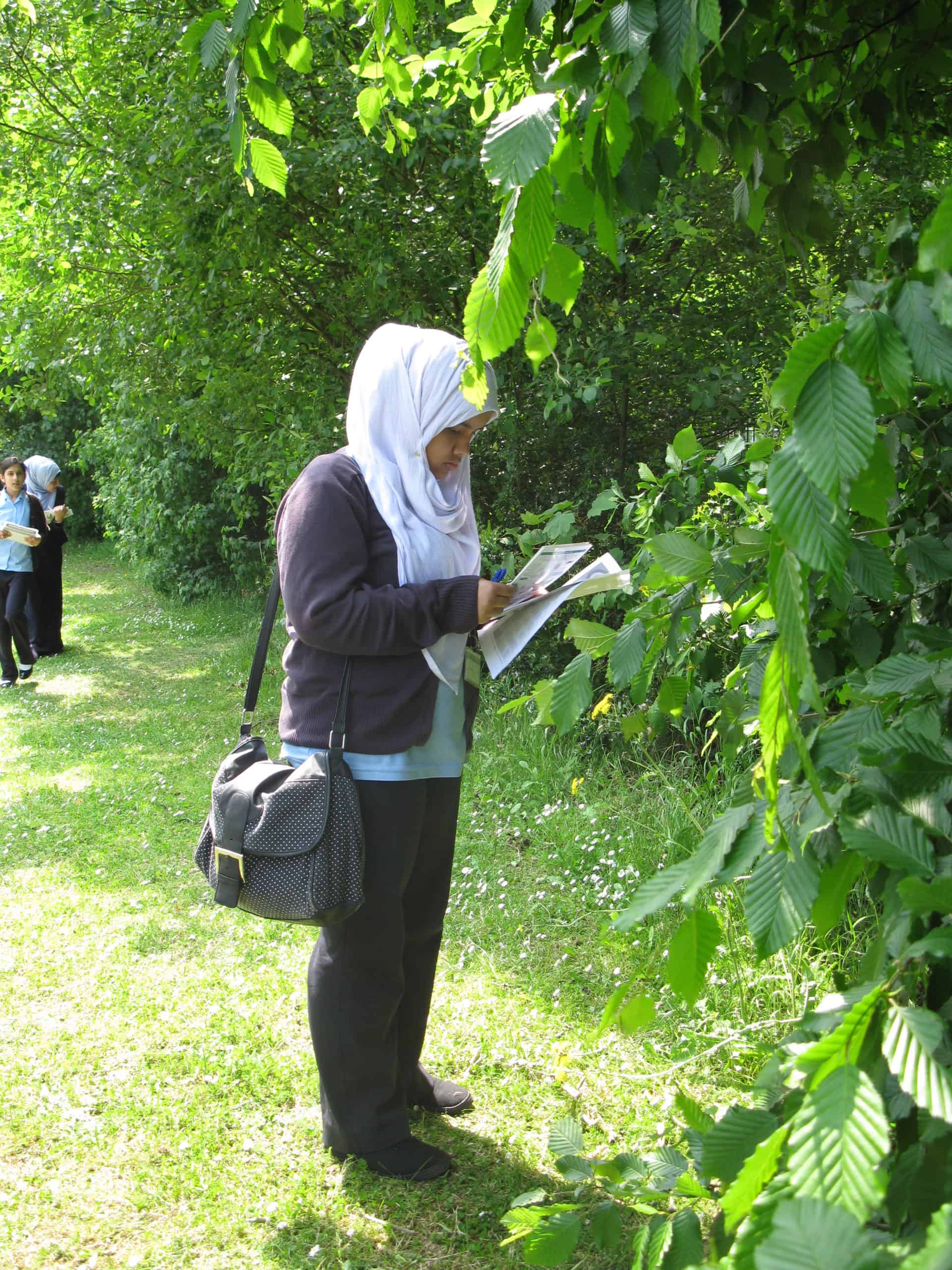 Free Tree Training – Field Studies Council