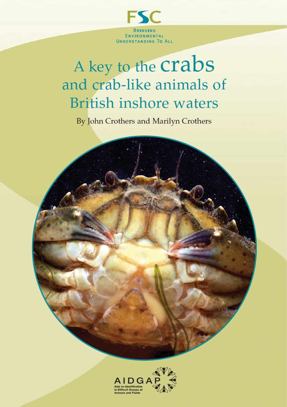 British Intertidal Marine Isopods (Natural History Live) – Field ...