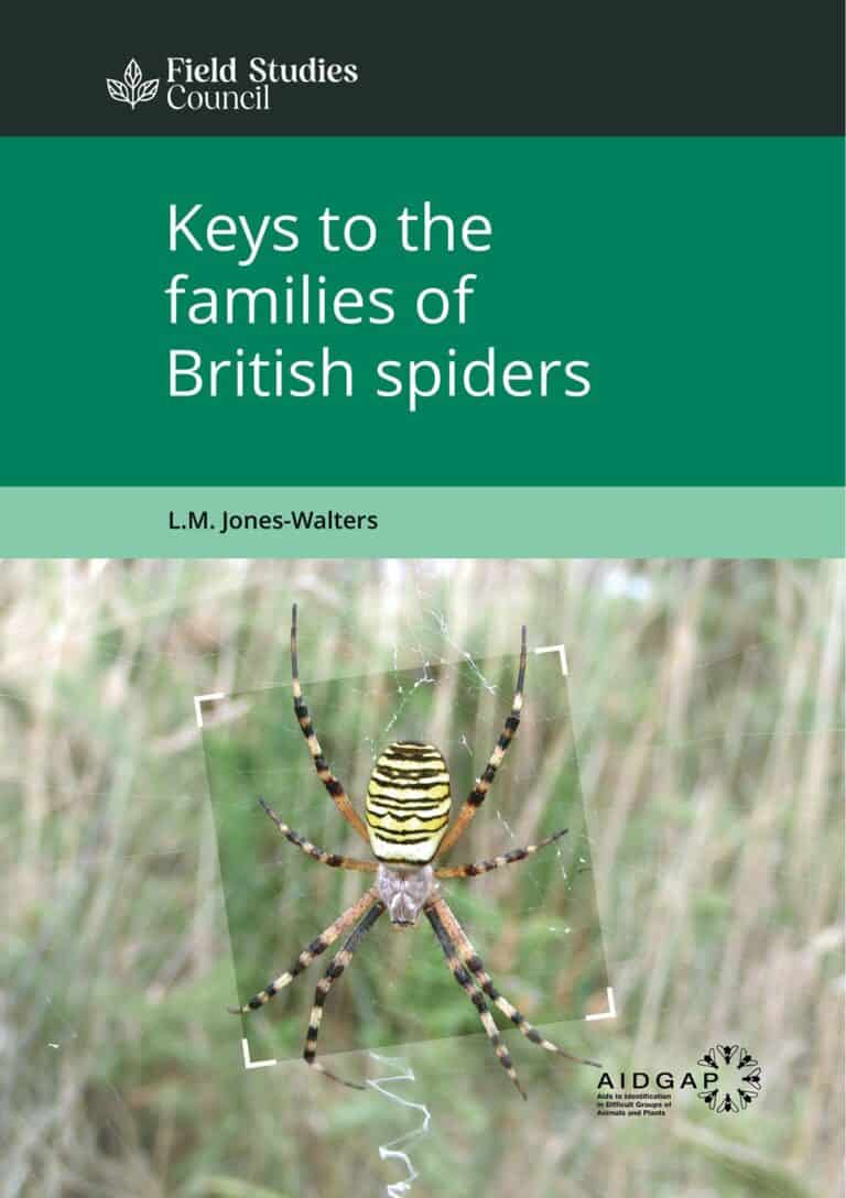 Spiders guide – Field Studies Council