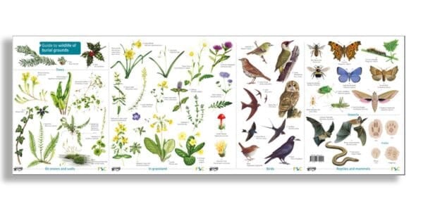 Create Your Own Guide – Field Studies Council