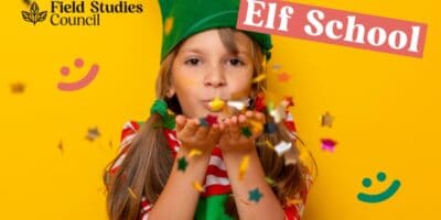 Elf School With The Field Studies Council