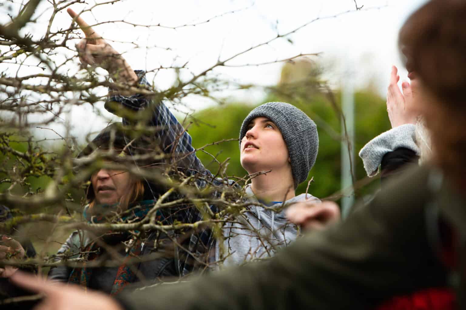 Trees: Winter Broadleaf Identification – Field Studies Council