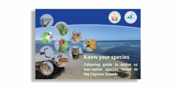 Create Your Own Guide – Field Studies Council