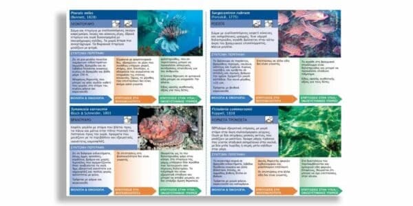 Create Your Own Guide – Field Studies Council