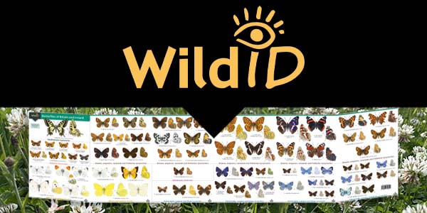 Wildlife guides and gifts – Page 17 of 109 – Field Studies Council