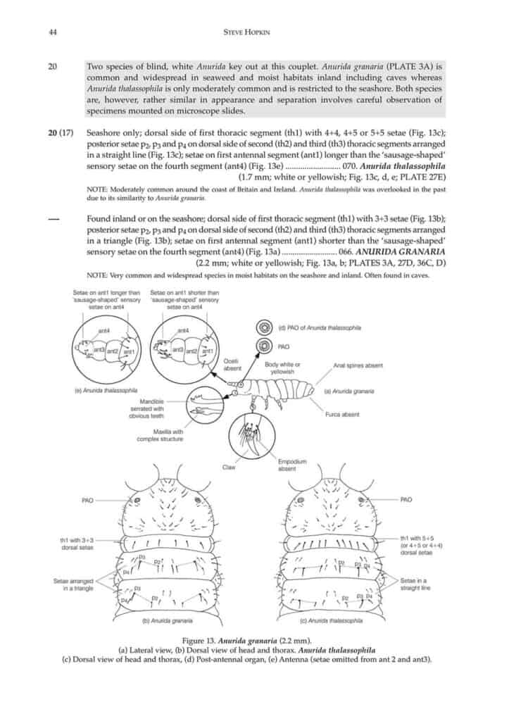 Springtails AIDGAP – Field Studies Council