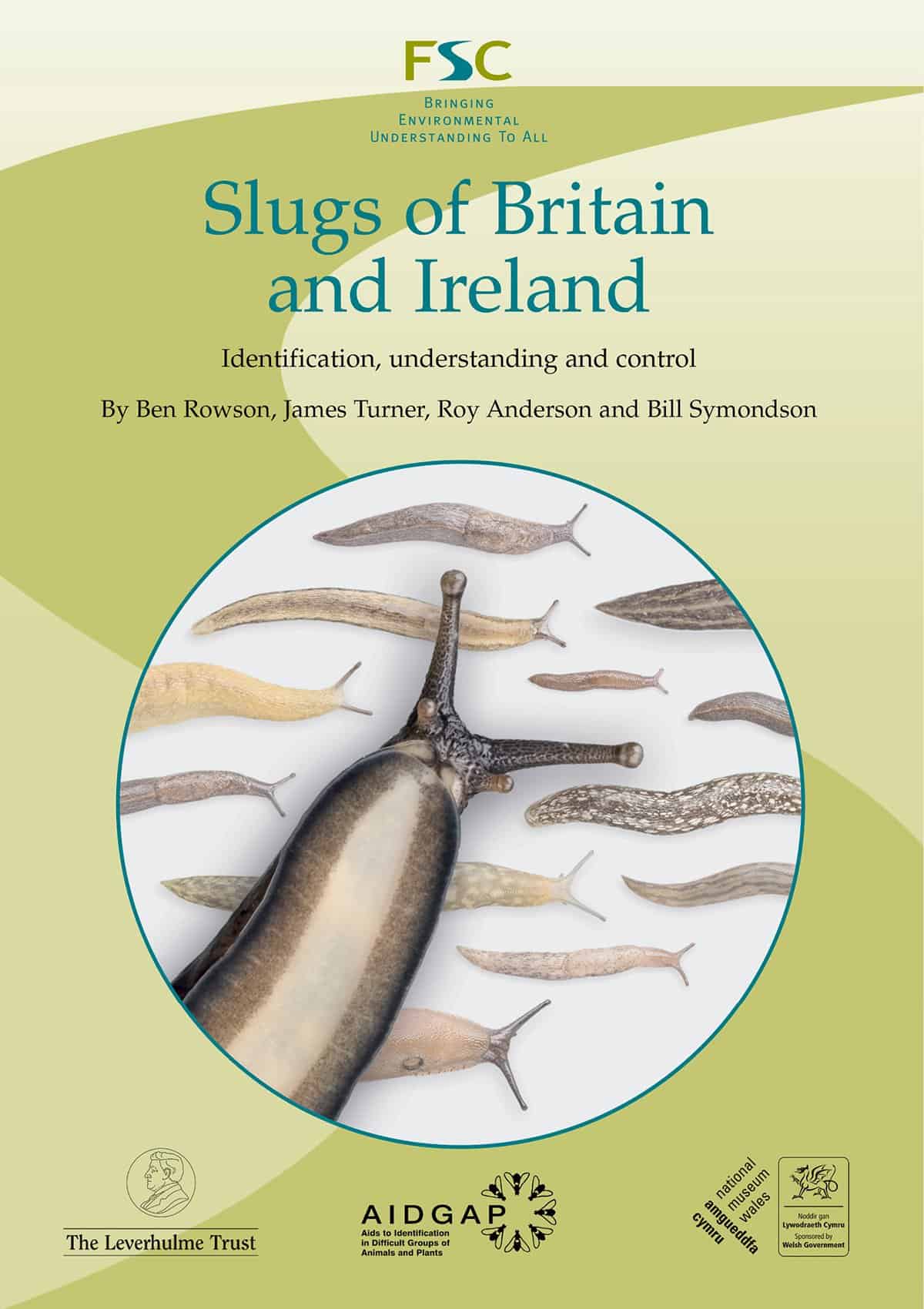 Slugs AIDGAP | Paperback Identification Key | Field Studies Council