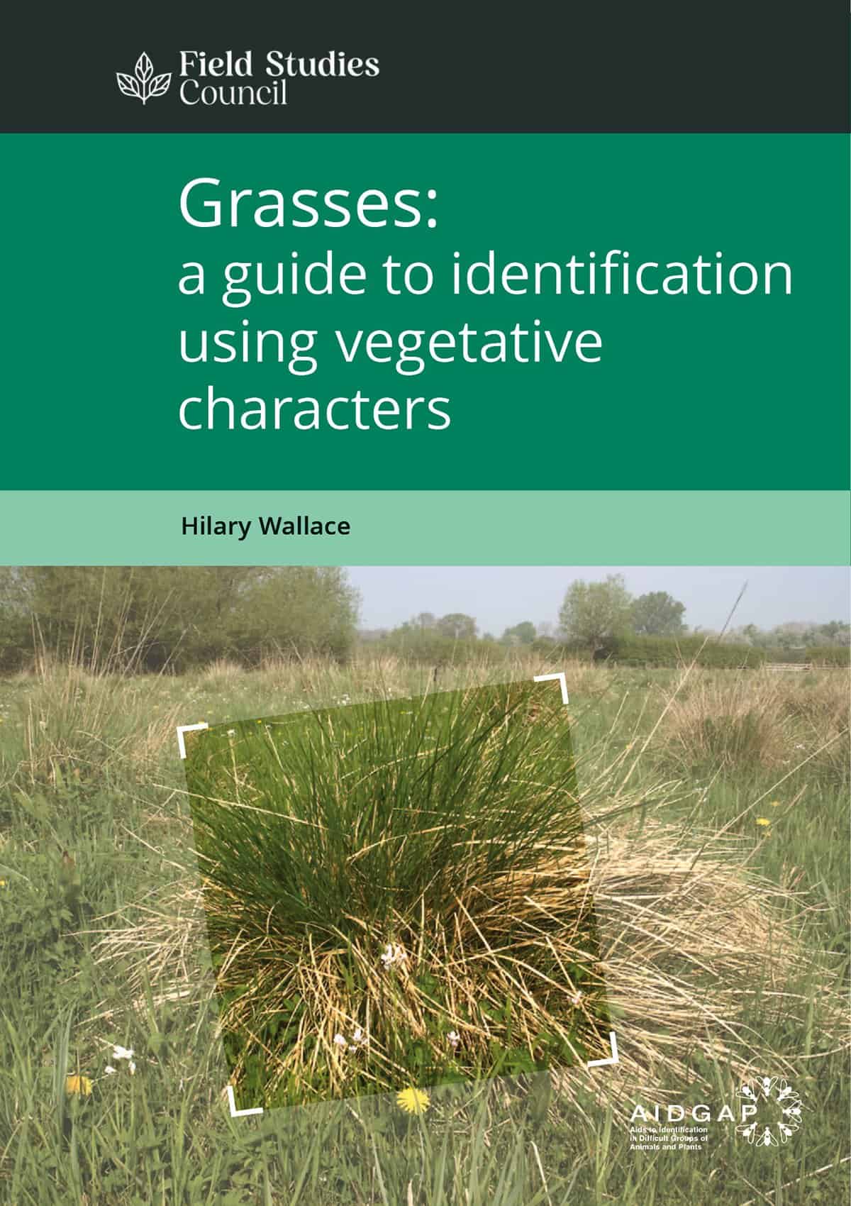 Grasses, Sedges, and Rushes: Identifying Common Species – Field Studies ...