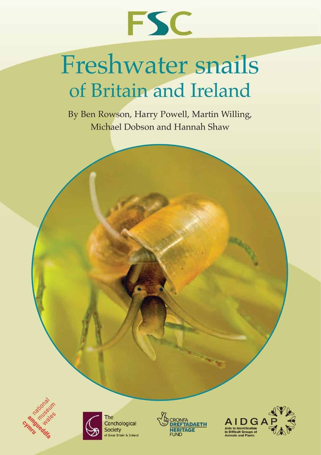 Freshwater invertebrates AIDGAP | Identification Key | Field Studies ...