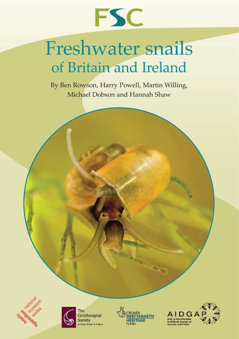 Freshwater invertebrates AIDGAP | Identification Key | Field Studies ...