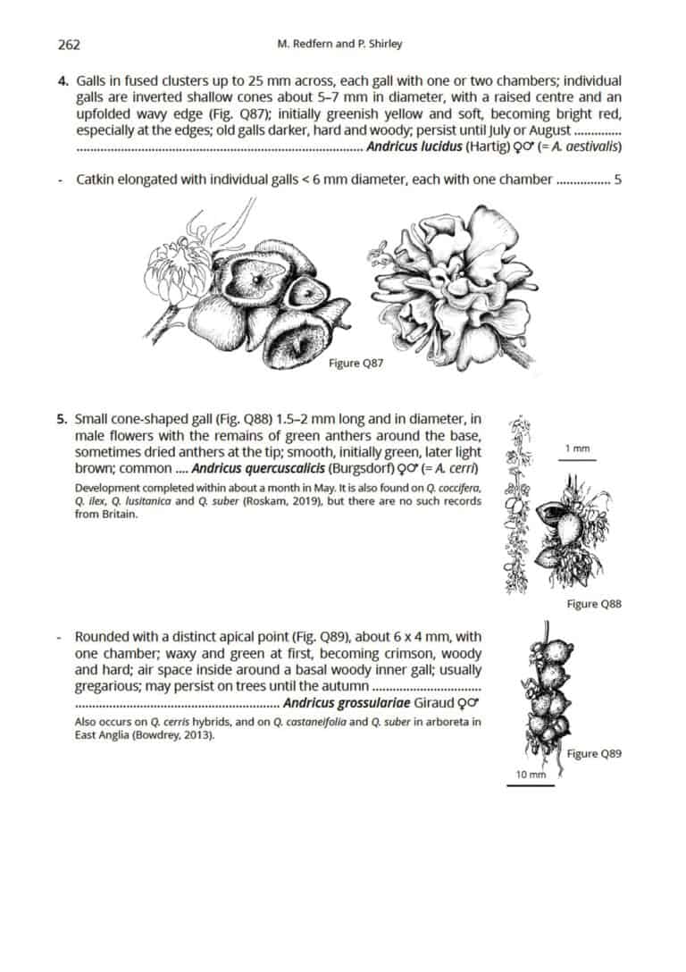 Plant galls AIDGAP – Field Studies Council