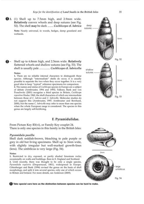 Land Snails AIDGAP | Paperback Identification Key | Field Studies Council