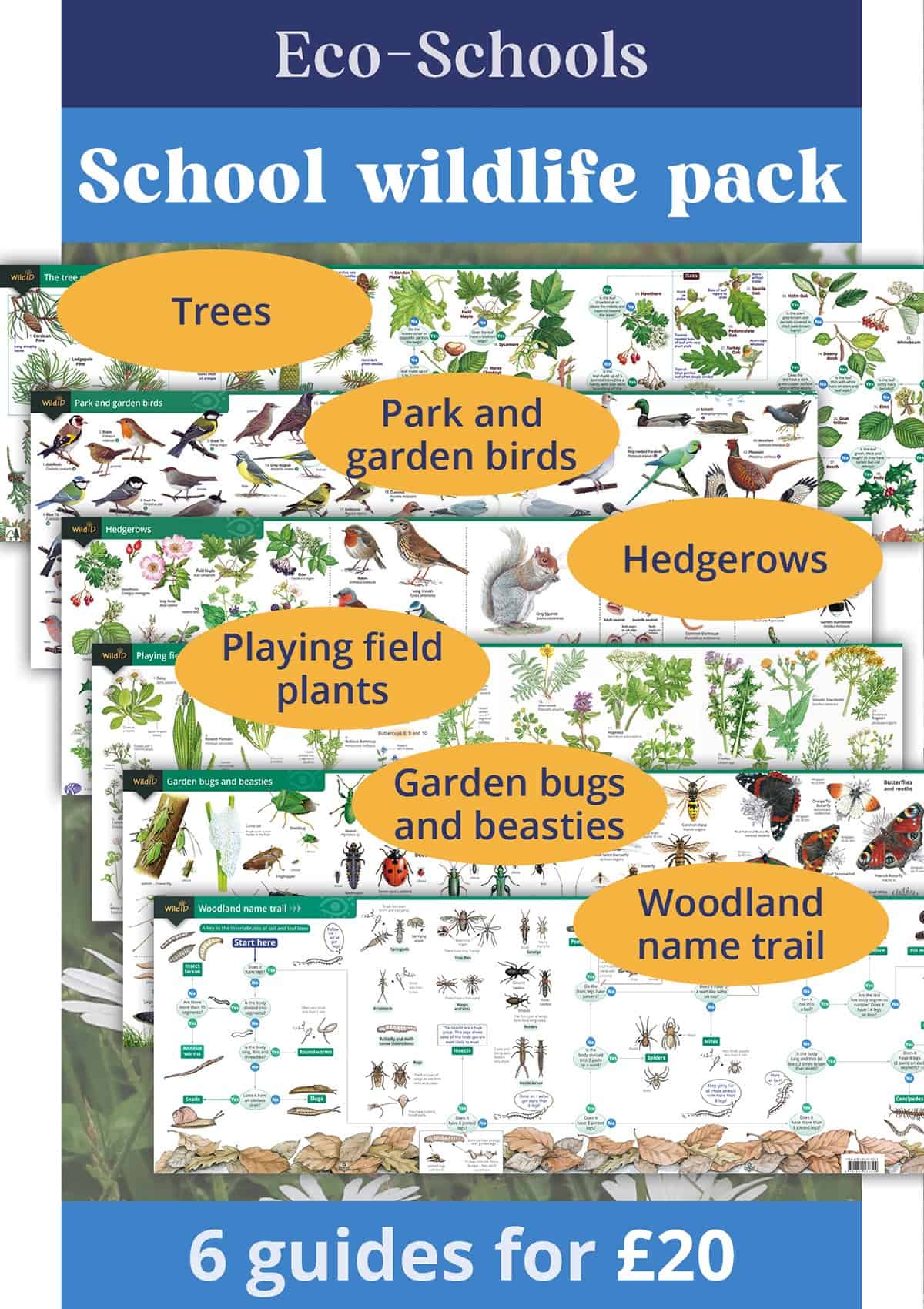 School wildlife pack – Field Studies Council