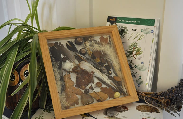 How to use our guides – Field Studies Council