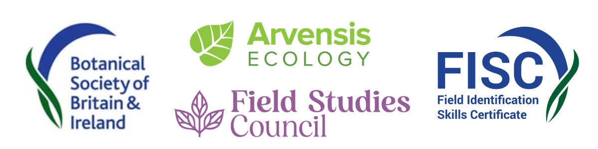 Mock Field Identification Skills Certificate (FISC) – Field Studies Council