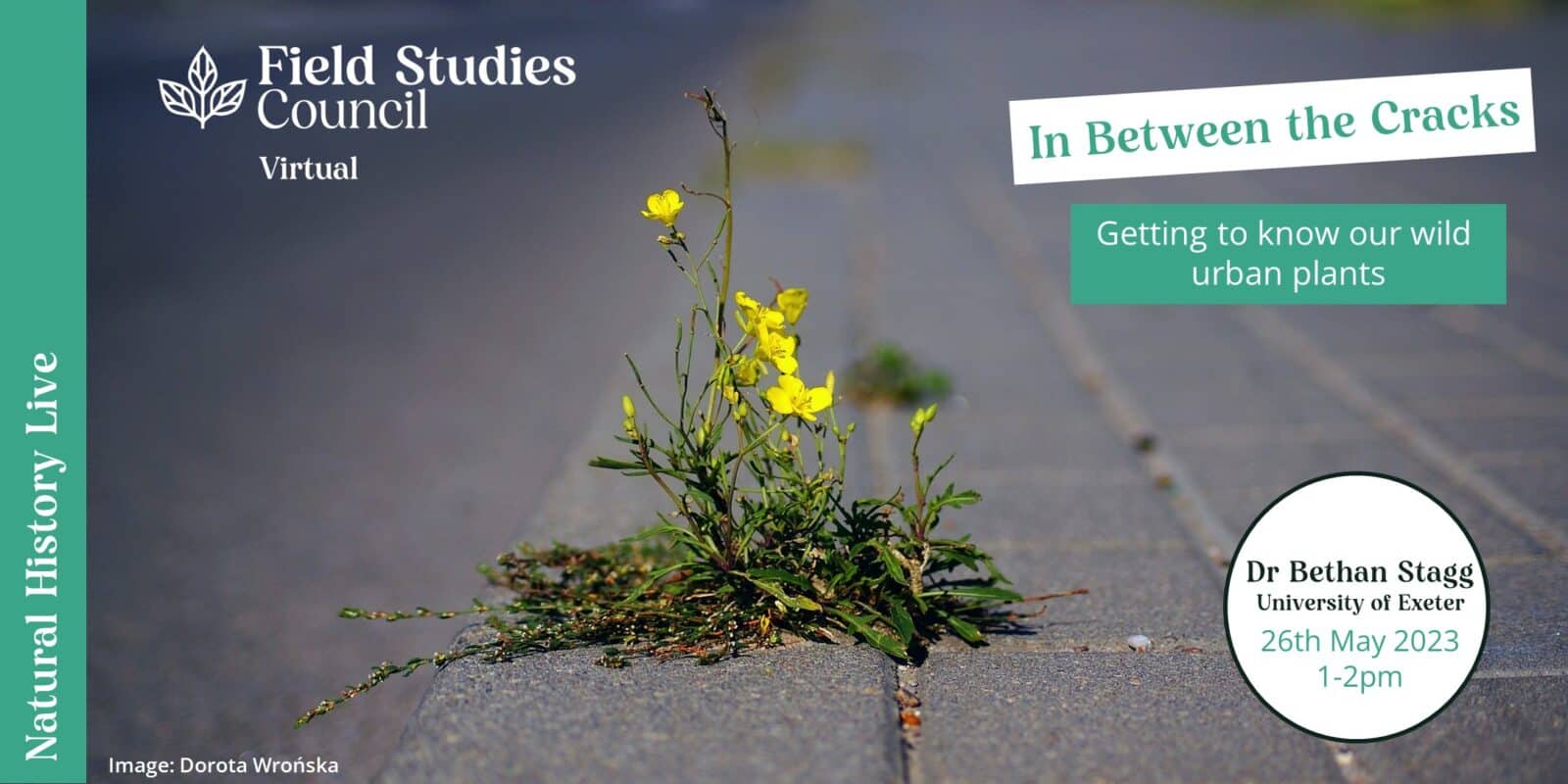 Natural History & Biodiversity Training – Field Studies Council