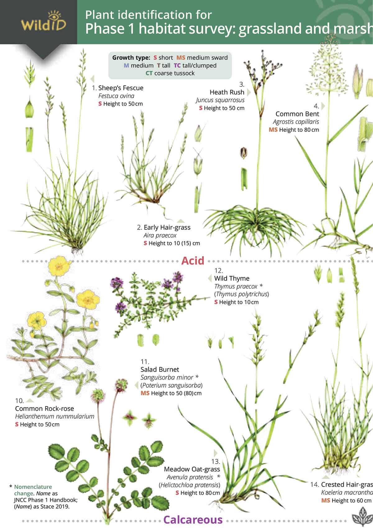 Phase 1 survey guide: Grassland and marsh – Field Studies Council Phase 1 survey guide: Grassland and marsh – Field Studies Council