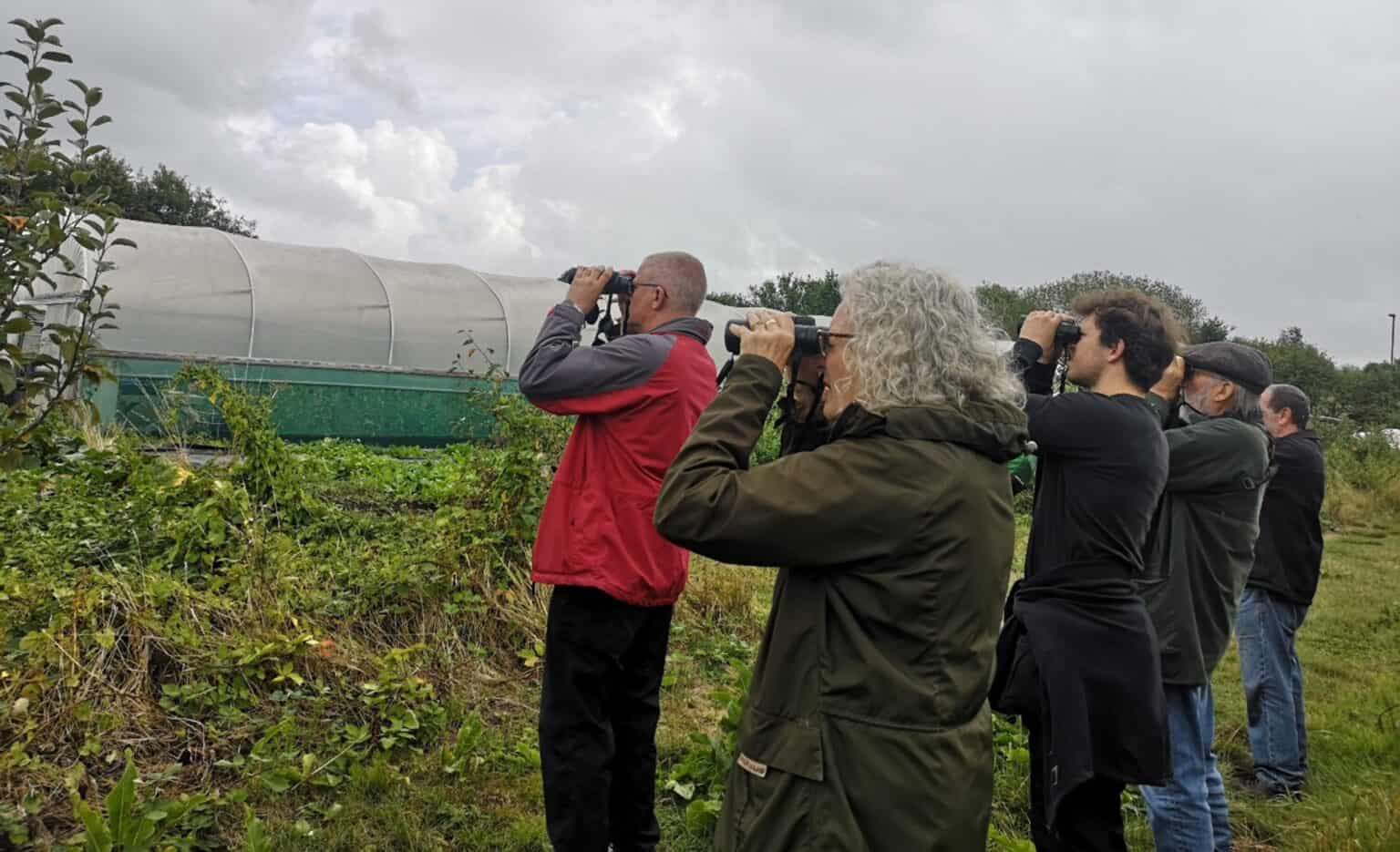 Getting to know your garden birds – Field Studies Council