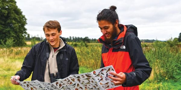 Wildlife guides and gifts – Field Studies Council