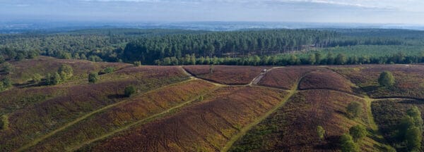 Features of Cannock Chase – Field Studies Council