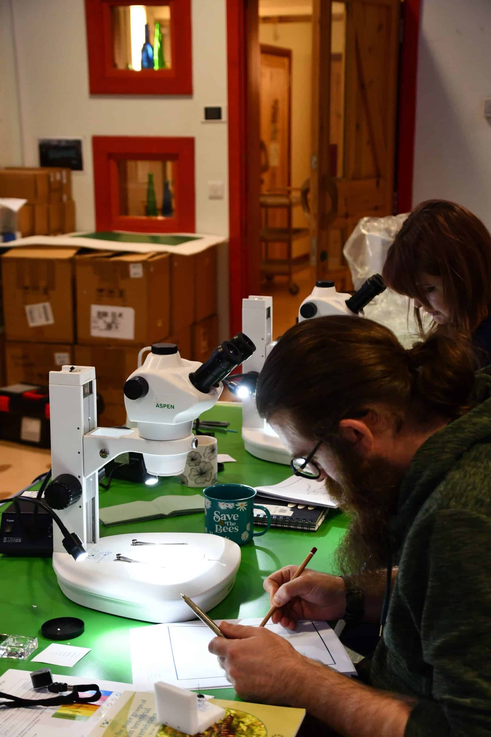 Celebrating Insect Week – Field Studies Council