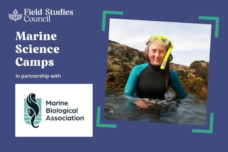 The Perfect Catch - Marine Science Camps