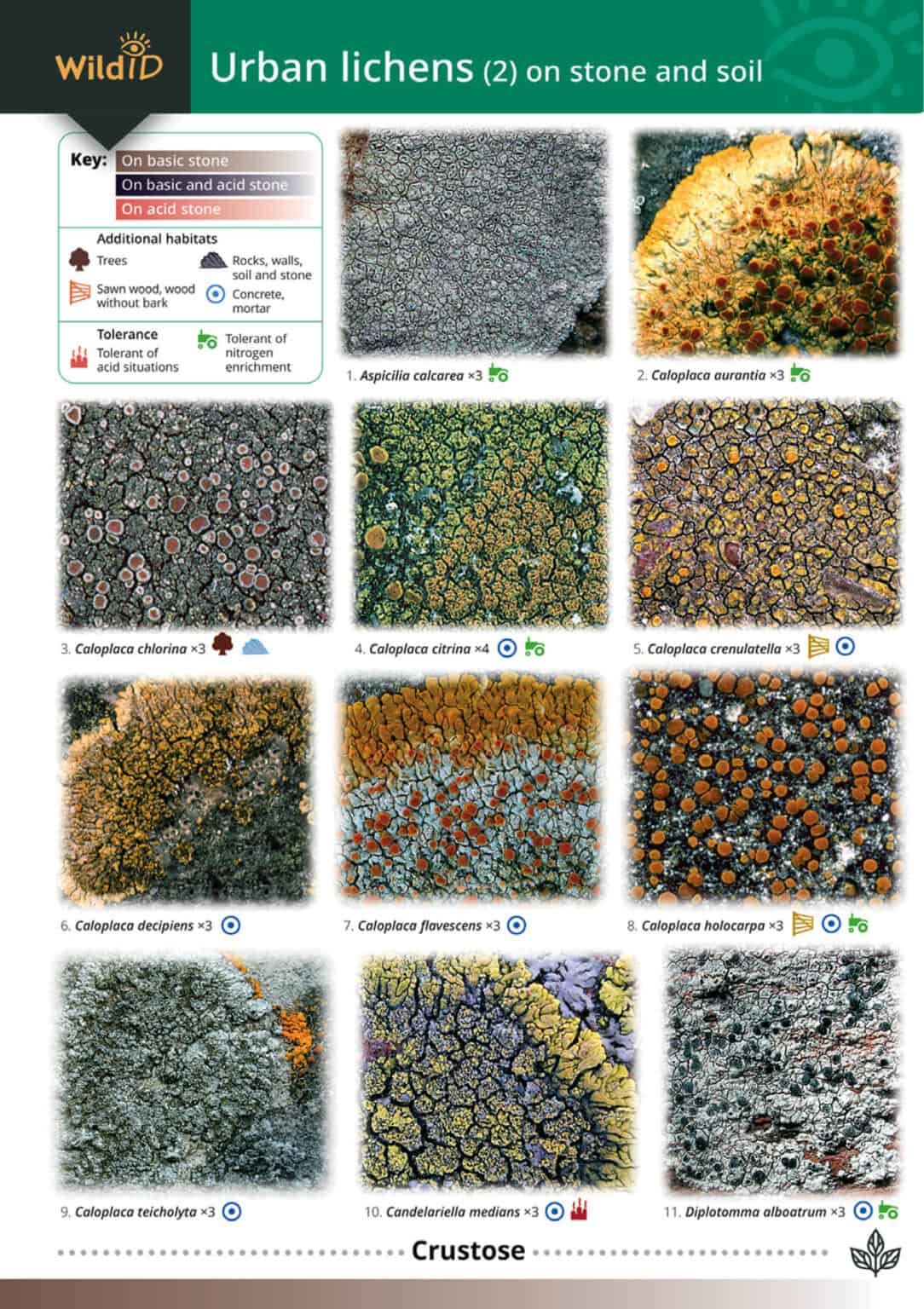 Publications Archives – Page 5 of 7 – Field Studies Council