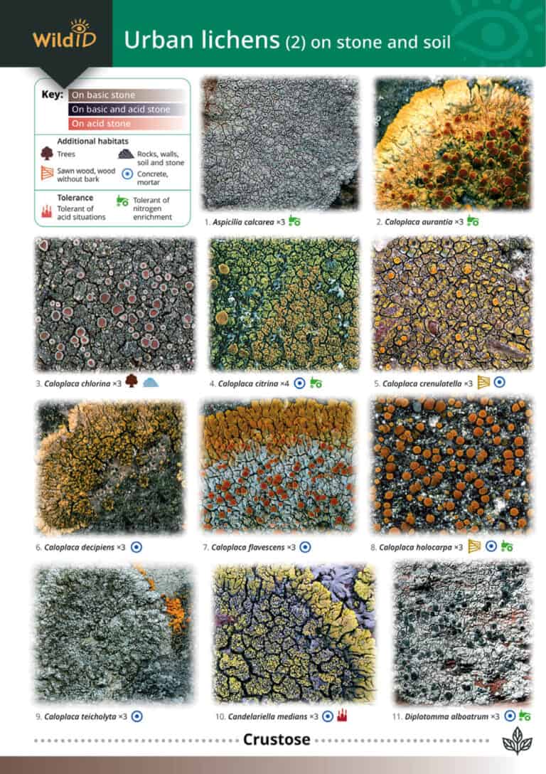 Publications Archives – Page 5 of 7 – Field Studies Council