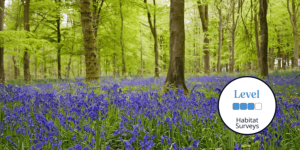 Natural History Courses At Haddon Hall Field Studies Council