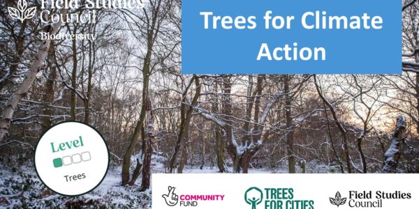 Trees for Climate Action - Free Tree Training Courses - Glasgow – Field ...