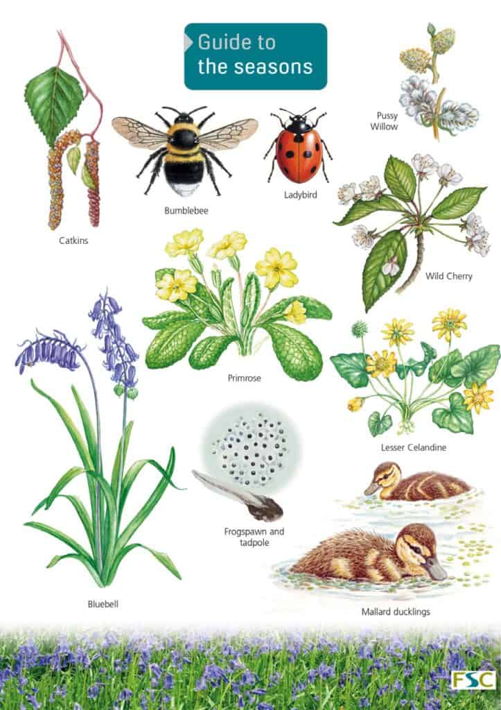 Publications Archives – Page 6 of 7 – Field Studies Council