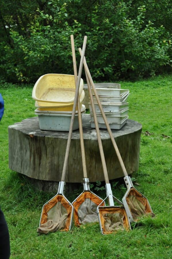 Pond Dipping – Field Studies Council