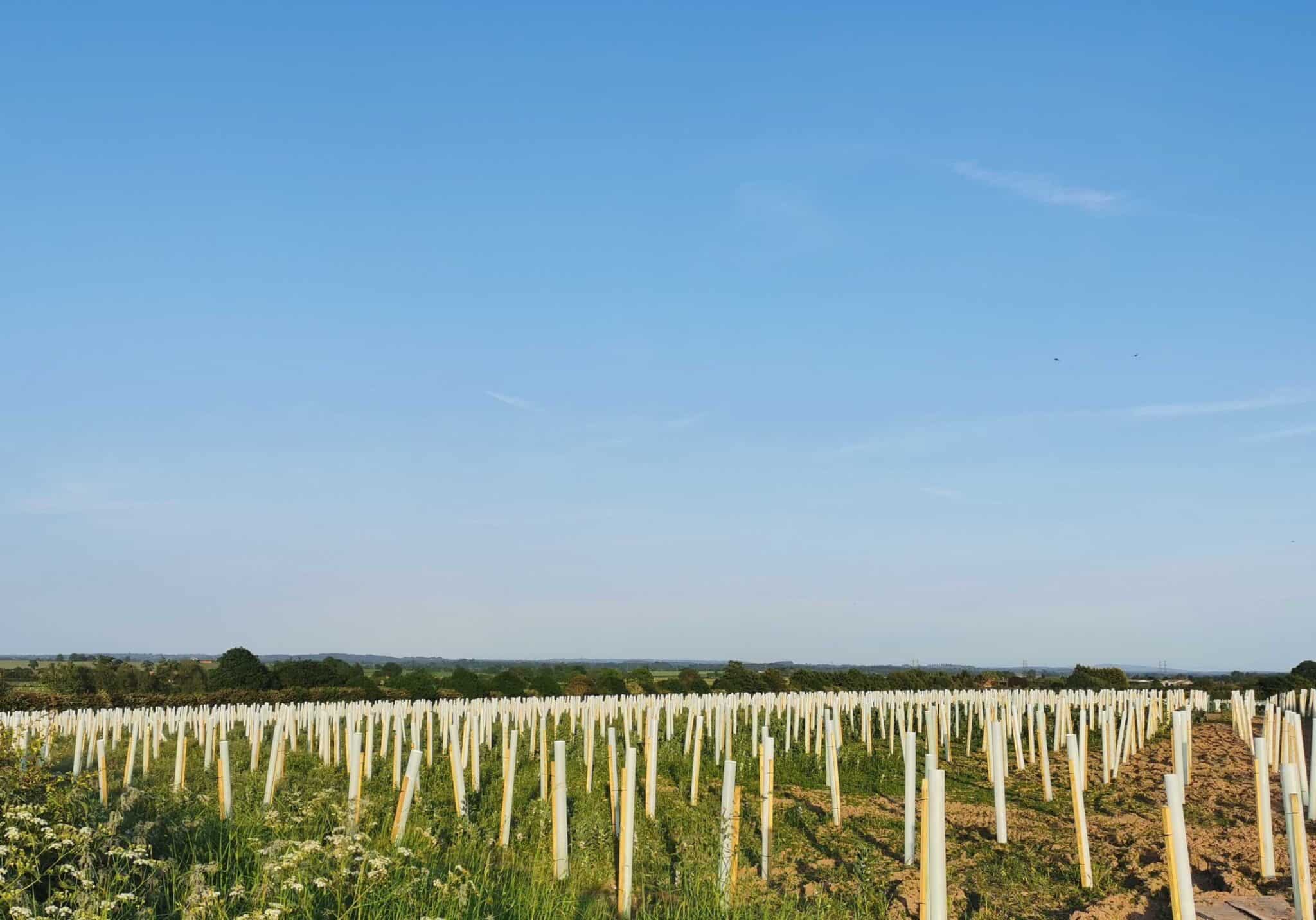 Biodiversity Training – Field Studies Council