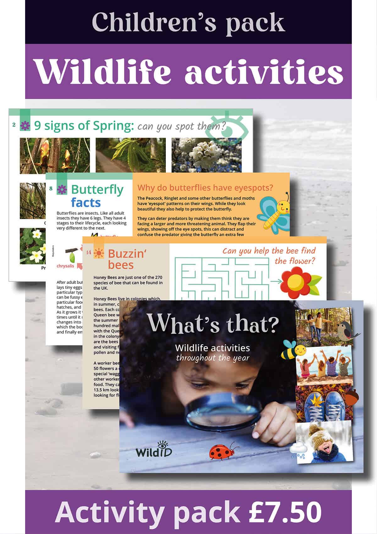 Wildlife activities book – Field Studies Council