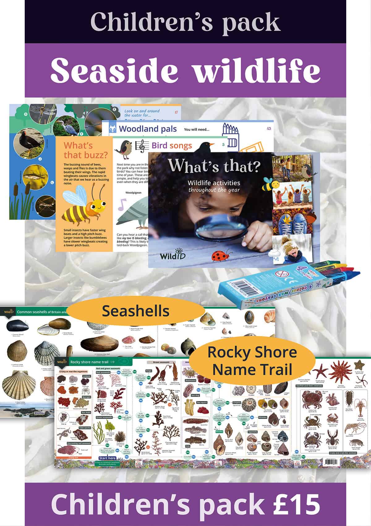 Seaside wildlife children's pack – Field Studies Council