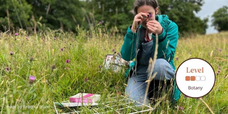 Habitat Survey Courses | NVC and HABUK | Field Studies Council