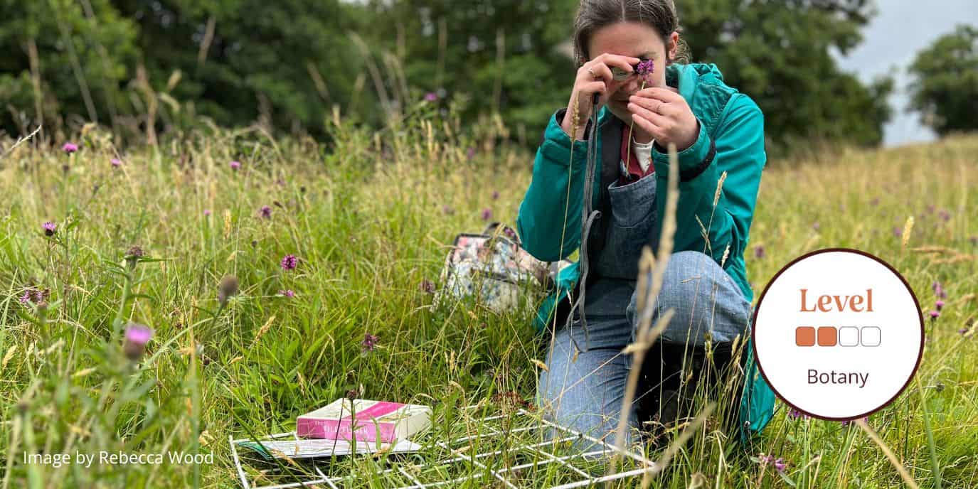 Botany Courses | Online and UK wide | Field Studies Council