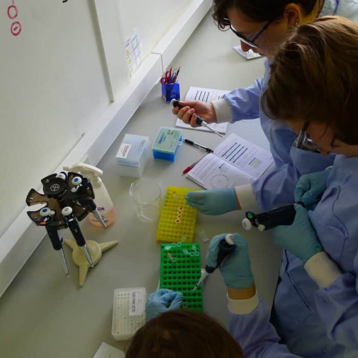 A Level Biology: Life Sciences – Field Studies Council
