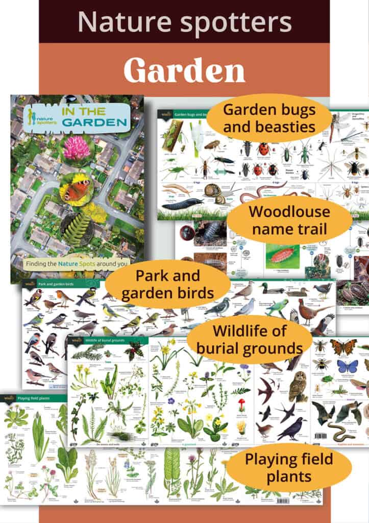 Garden spotters pack – Field Studies Council