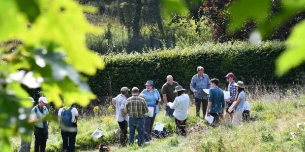 Biodiversity Training - Trees and Woodlands – Field Studies Council