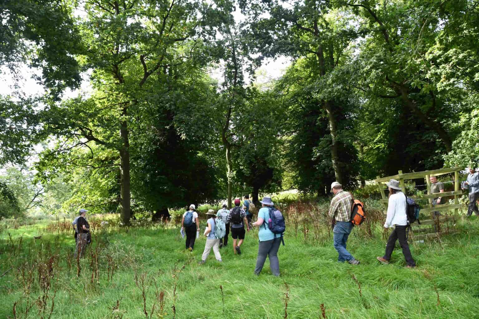 Biodiversity training for your organisation – Field Studies Council
