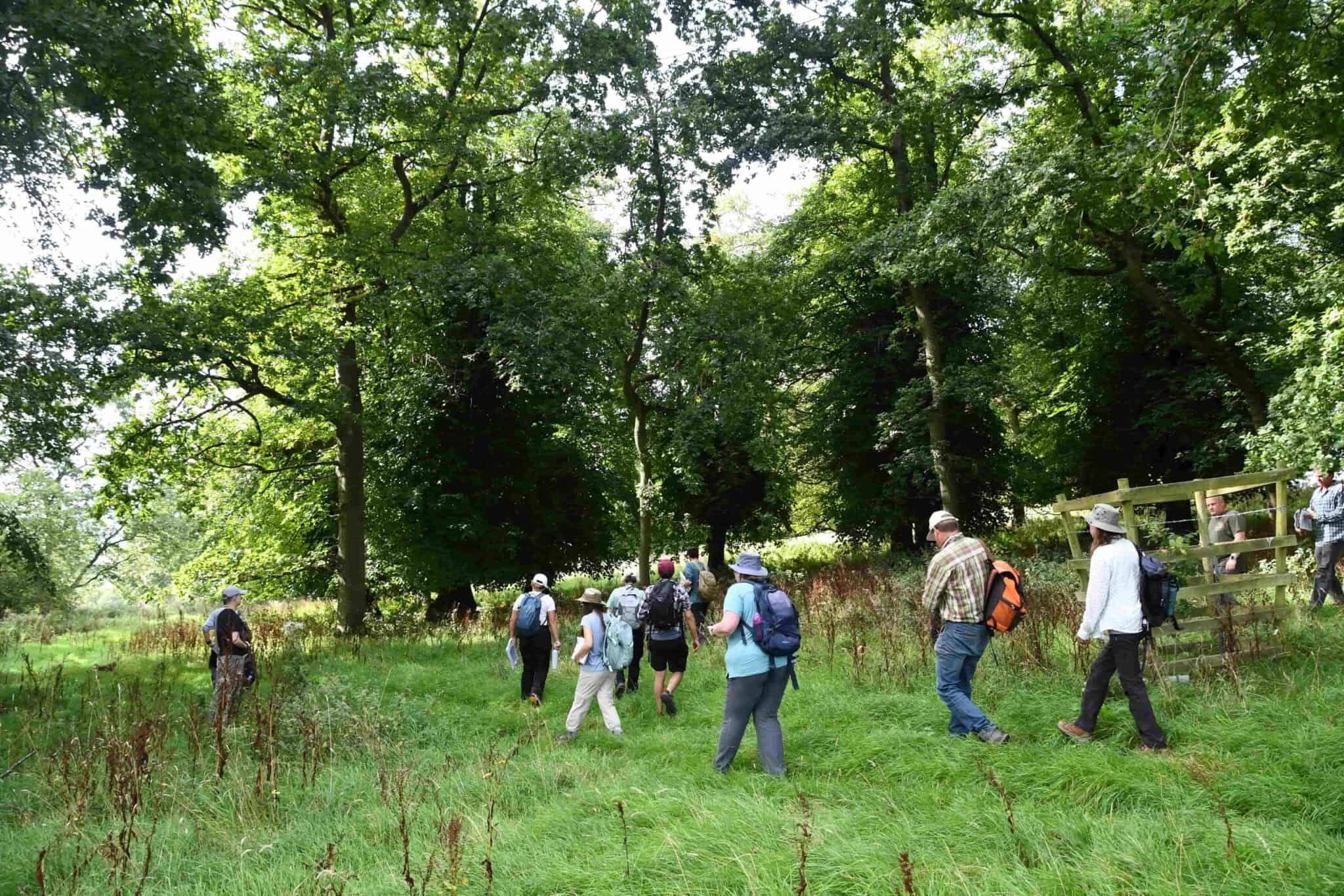 Employability in Ecology: Terrestrial Survey Skills – Field Studies Council
