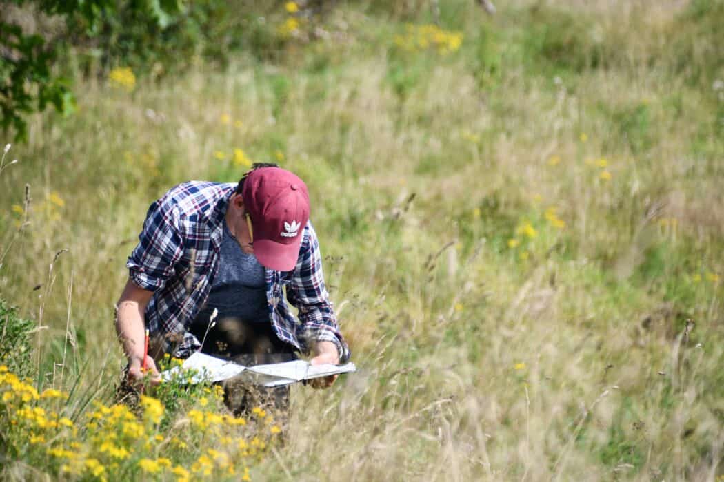 Discovering the Biodiversity Metric - Online – Field Studies Council