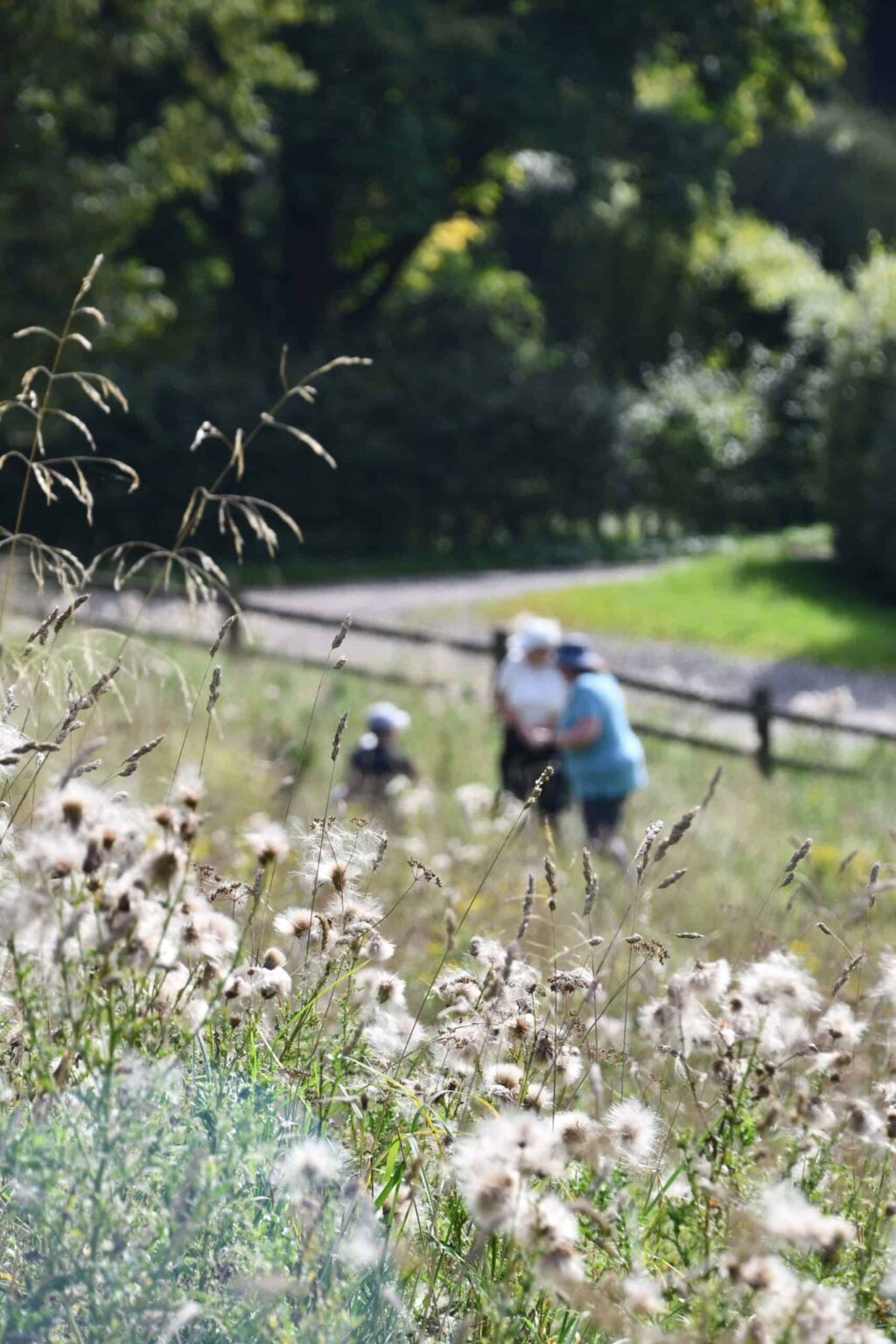 Botany Training – Field Studies Council