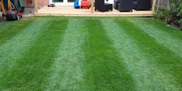 Signs of Spring – Field Studies Council