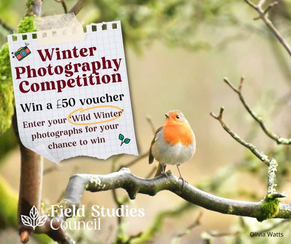 Winter Photography Competition – Field Studies Council