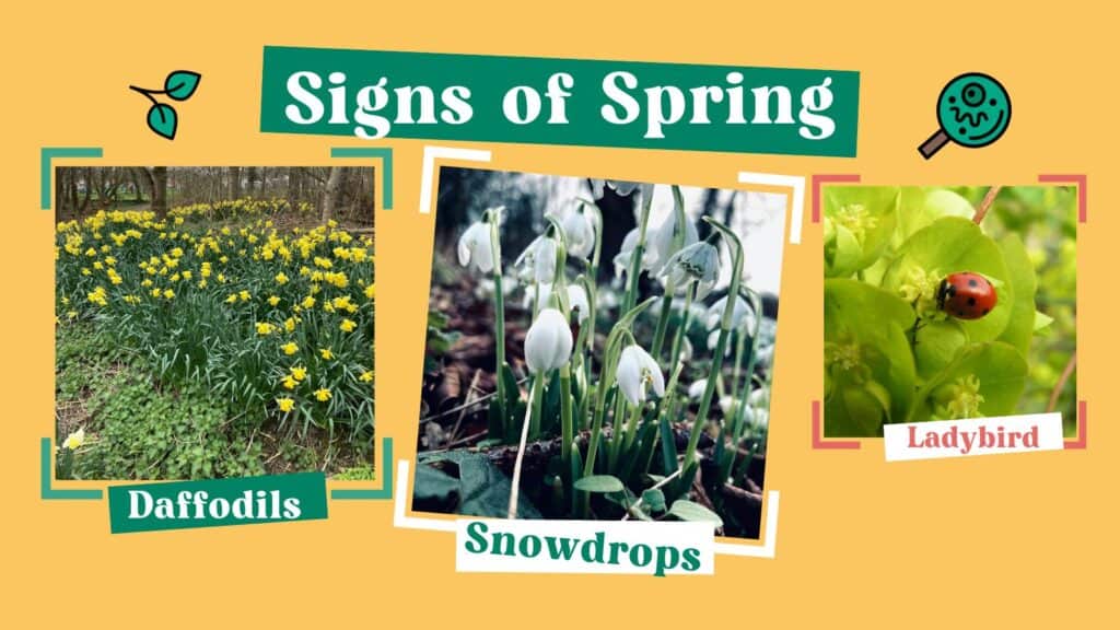 News – Field Studies Council