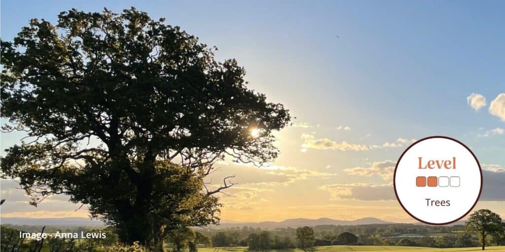 Tree Identification Courses | Beginner to Advanced | FSC