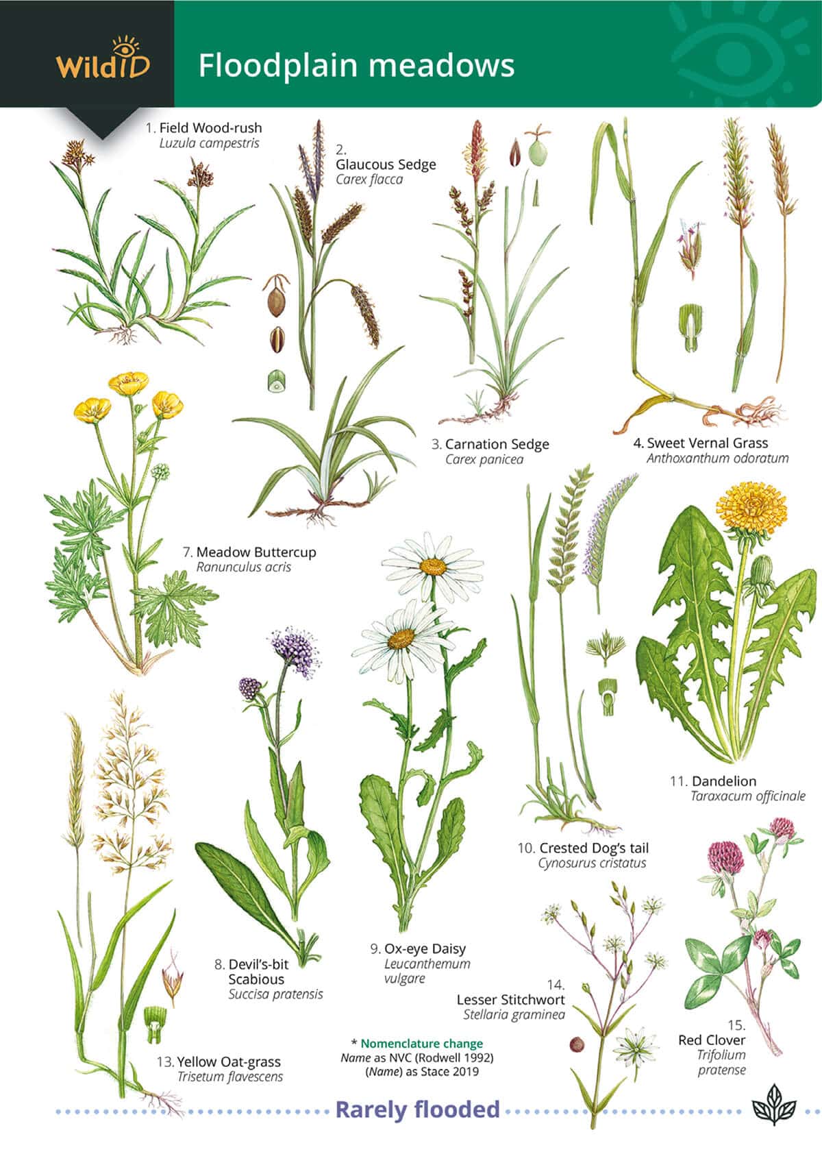 Floodplain meadows guide – Field Studies Council