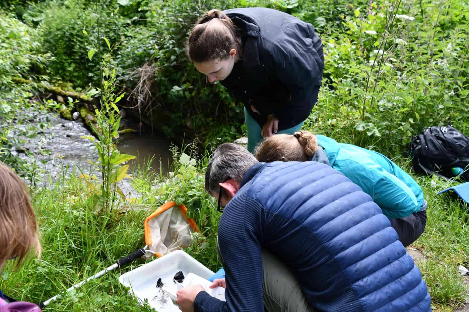Introduction to Freshwater Invertebrates – Field Studies Council